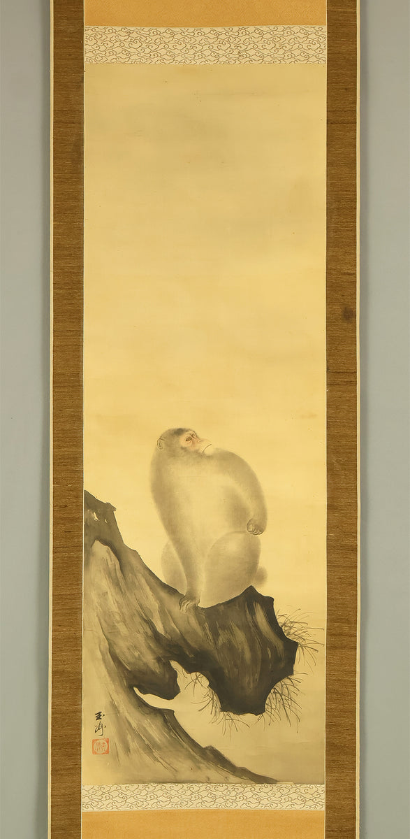 玉洲 Gyokushu Japanese art kakejiku kakemono wall hanging scroll / Monke ...